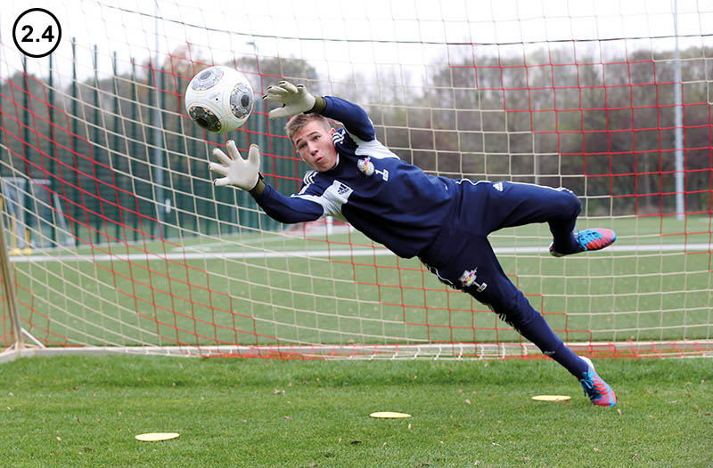 torwart.de-Torwarttraining, Torwarttrainer, Sprungkraft, Reaktion ...